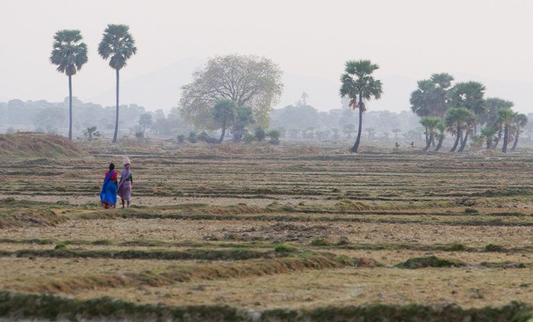 Shakyamuni and the Lotus Sutra - SGI USA