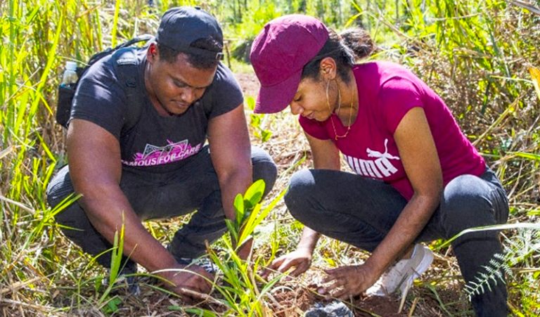 Tree Planting Activities in Dominican Republic - SGI USA